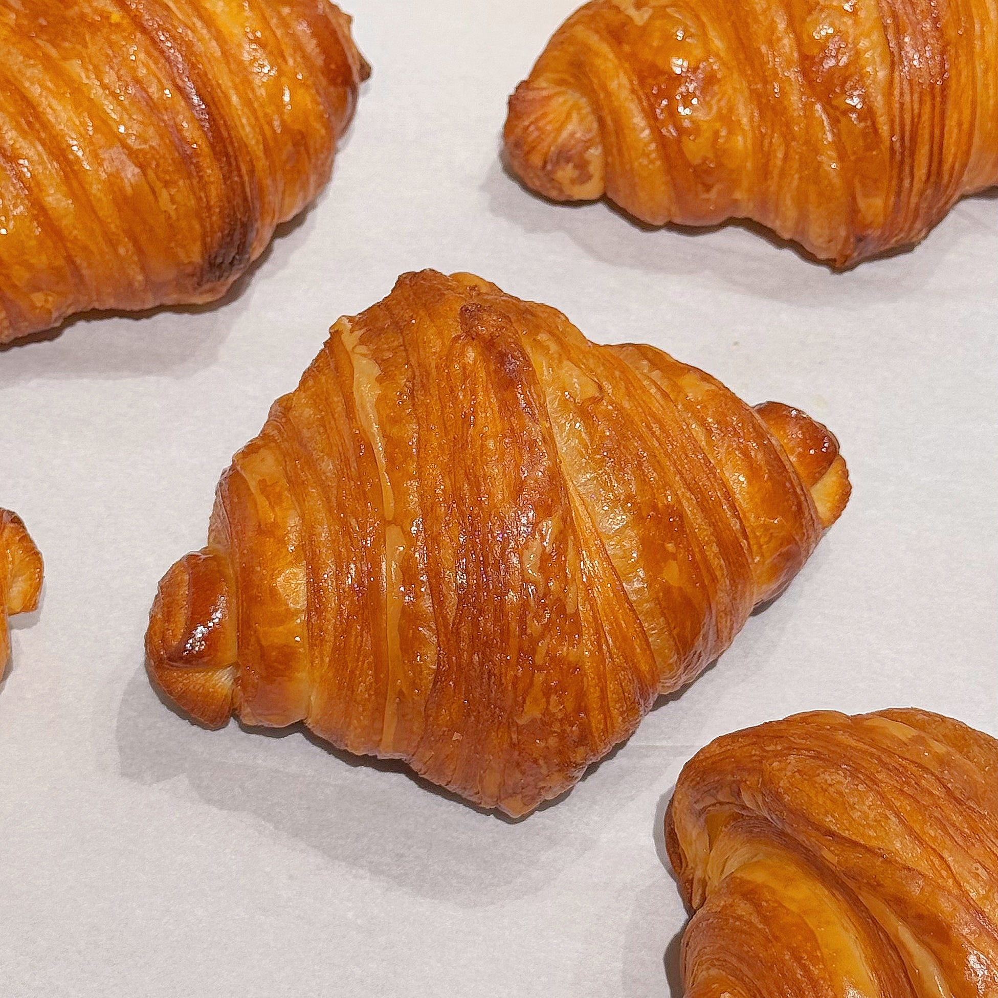 Sea Salt Croissant – Swish Rolls
